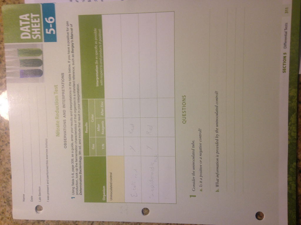 Solved DATA SHEET 6-2 Name Lab Section Standard Plate Count | Chegg.com