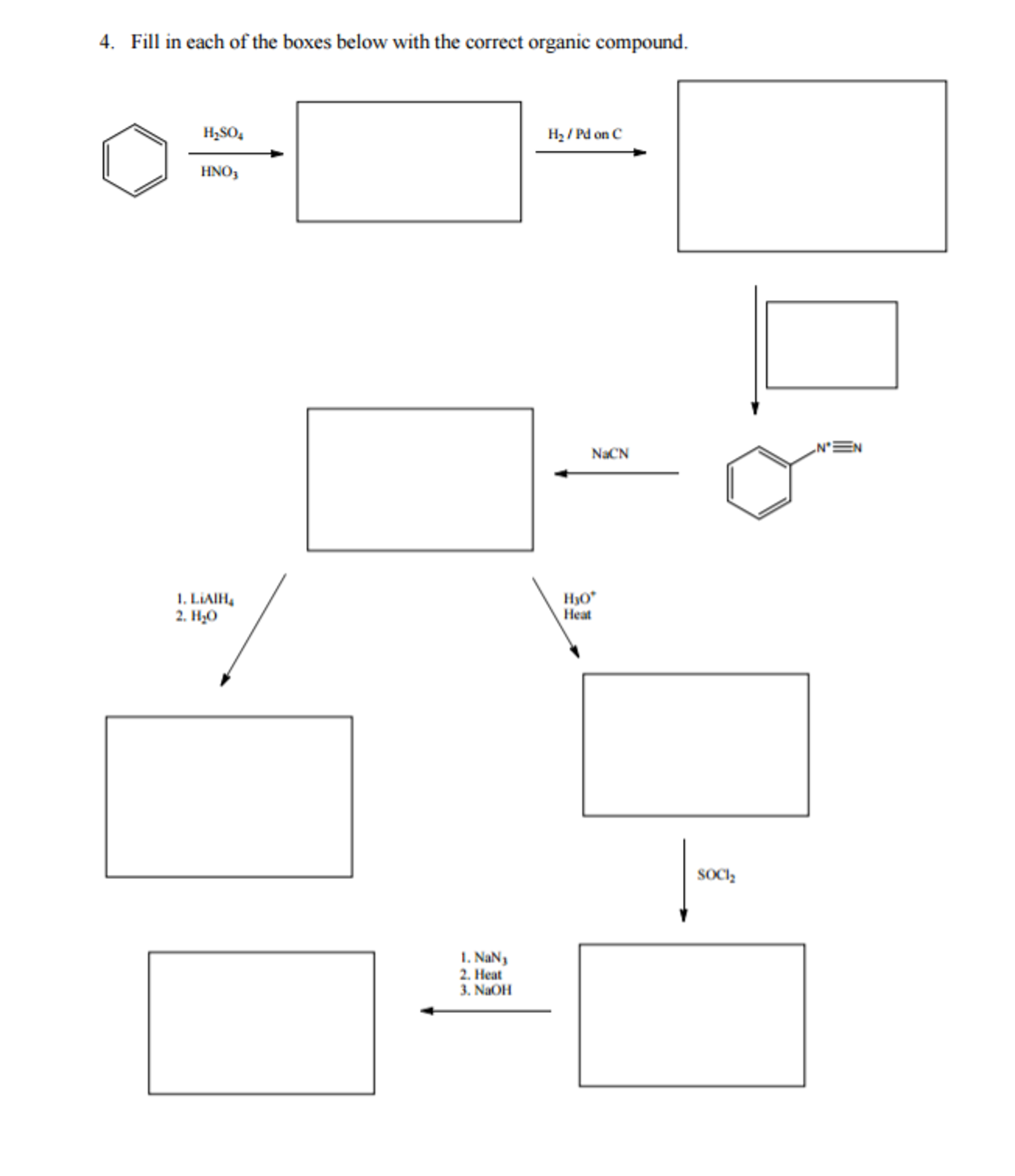 Solved l. Circle the MOST basic position for each of the | Chegg.com