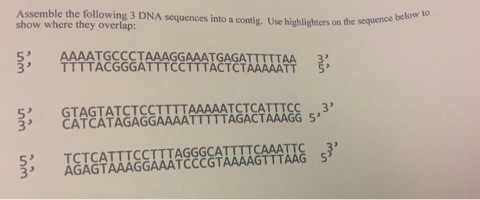 Solved Assemble the following 3 DNA sequences into a contig. | Chegg.com