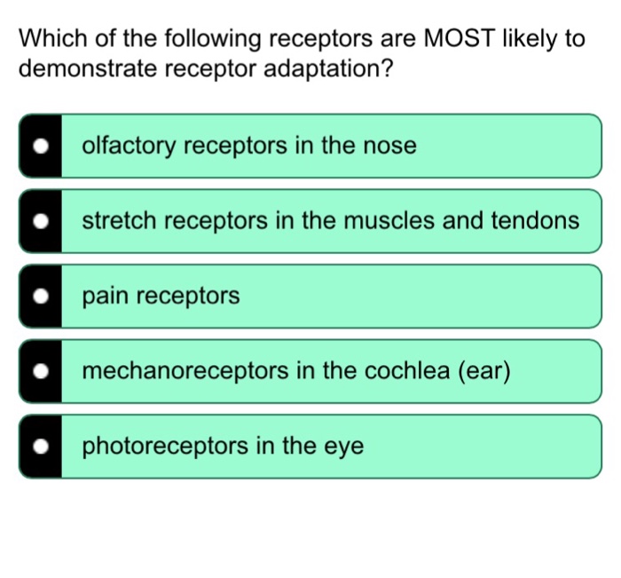 Solved Which of the following receptors are MOST likely to | Chegg.com