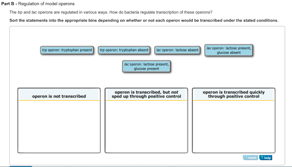 Solved regulatory gene inducer promoter genes of an operon | Chegg.com
