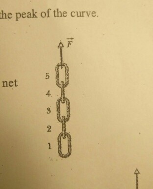 Solved A chain is pulled upward by a force F as shown | Chegg.com