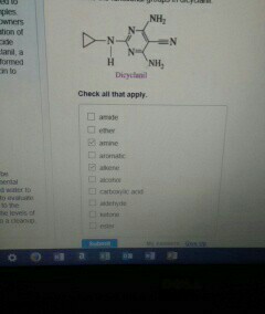 Solved name the functional groups in dicyclani | Chegg.com
