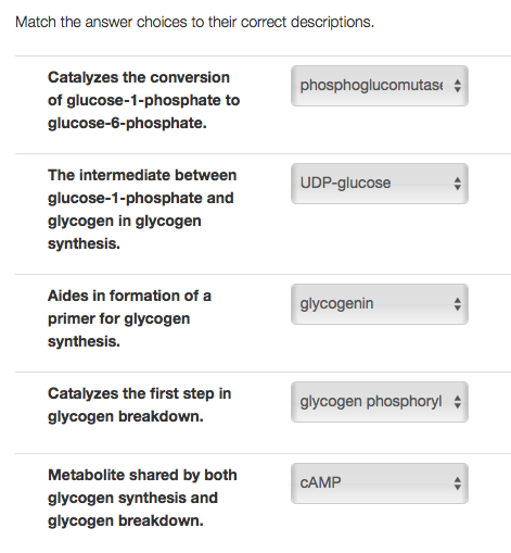 Solved Match the answer choices to their correct | Chegg.com