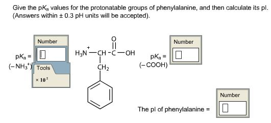 Solved Give the pKa values for the protonatable groups of | Chegg.com