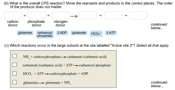 Solved Carbamoyl phosphate synthetase (CPS) synthesizes | Chegg.com