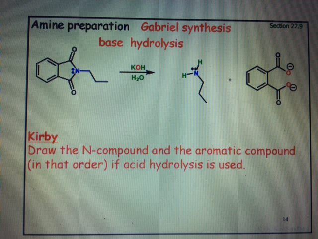 Solved Amine preparation Gabriel synthesis base | Chegg.com