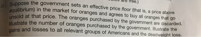 Solved Suppose the government sets an effective price floor | Chegg.com