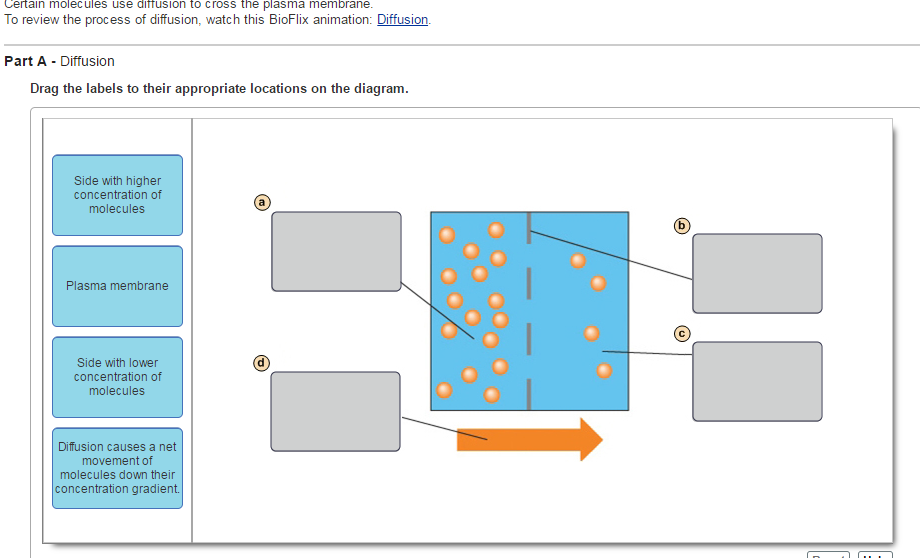 Solved Certain molecules use diffusion to cross the plasma | Chegg.com