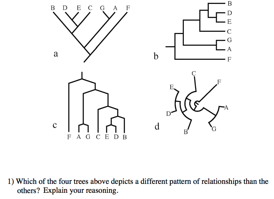 Solved Which of the four trees above depicts a different | Chegg.com