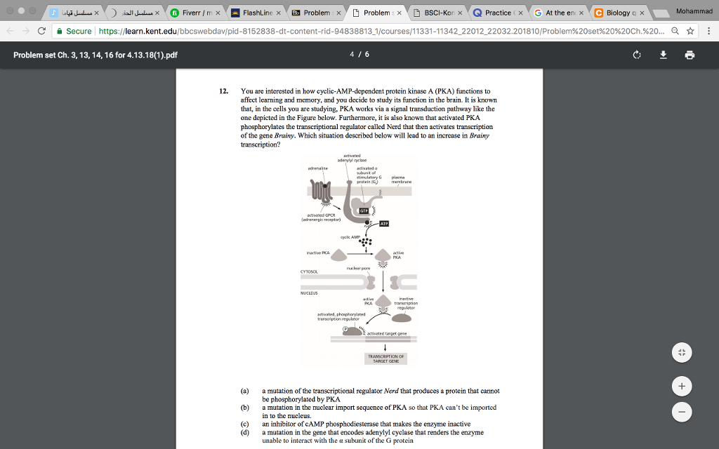 Solved Mohammad C Secure | Chegg.com