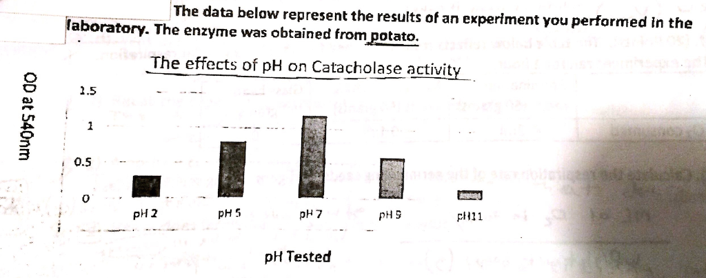 Solved Based on the graph and experiment presented answer | Chegg.com