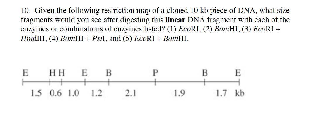 Solved 10. Given the following restriction map of a cloned | Chegg.com
