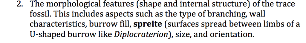 Solved The morphological features (shape and internal | Chegg.com