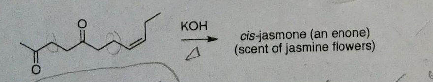 Solved when the following diketone is treated with base and | Chegg.com