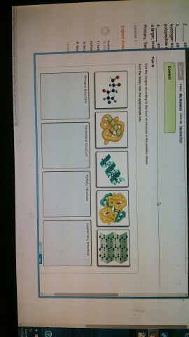 Solved sort the images according to the level of structure | Chegg.com