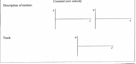 Constant Zero Velocity Graph