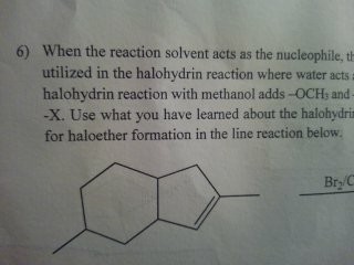 Solved When the reaction solvent acts as the nucleophile, te | Chegg.com