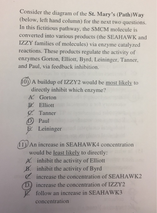 Solved SMCM Gorton SEAHAWK Elliott SEAHAWK2 Tanner Byrd | Chegg.com