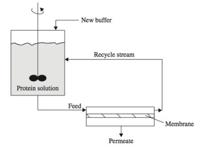 Solved Problem 2: Diafiltration is carried out to exchange | Chegg.com