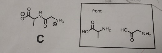 Solved from: NH3 NH2 HO HO | Chegg.com