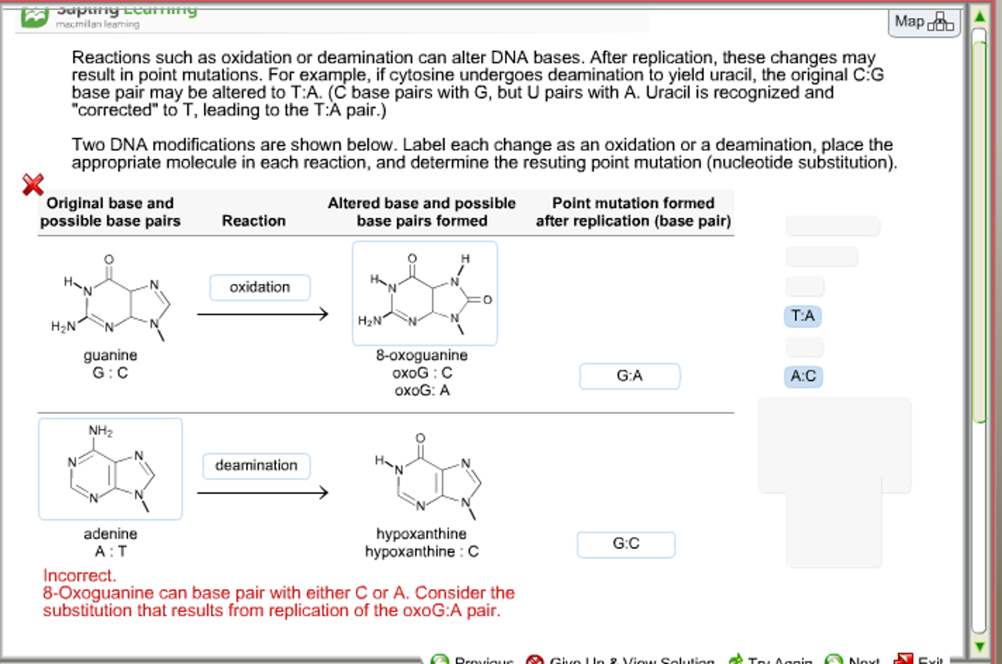 Solved Reactions such as oxidation or deamination can alter | Chegg.com