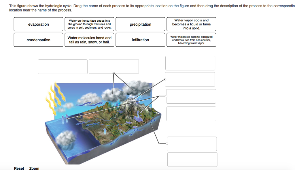 Solved This figure shows the hydrologic cycle. Drag the name | Chegg.com