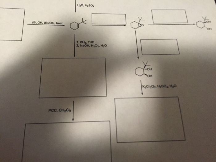 Solved Fill in the missing reagent, product and/ or | Chegg.com