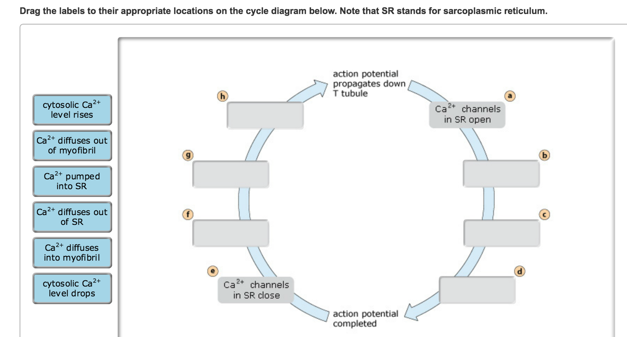 Drag The Labels To Their Appropriate Locations On The Cycle Diagram