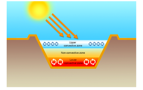 Solved Israel utilizes solar ponds to produce ‘green’ | Chegg.com