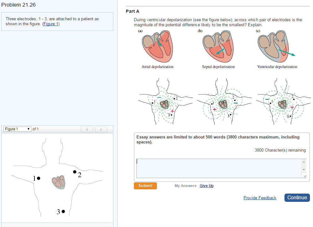 Solved Three electrodes. 1 - 3. are attached to a patient as | Chegg.com