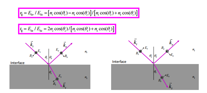 (Fresnel Formulas) Fresnel was the first to do the | Chegg.com