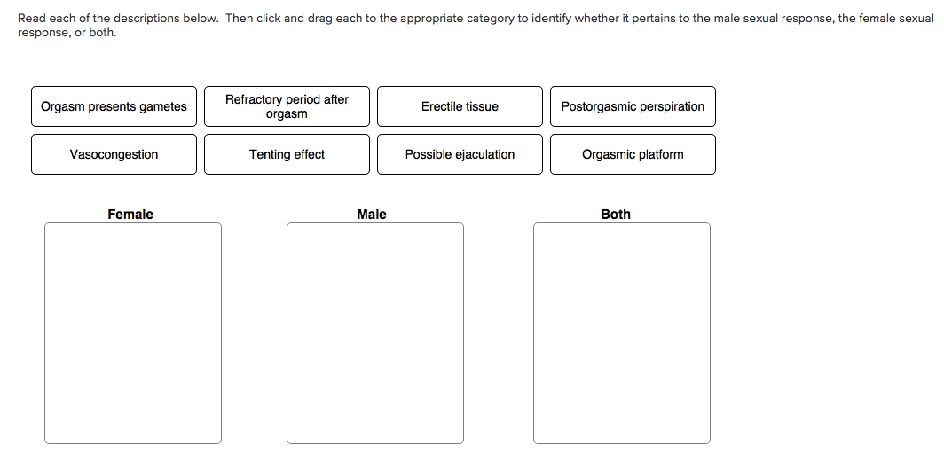 Solved Read each of the descriptions below. Then click and | Chegg.com