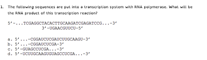 Solved: The Following Sequences Are Put Into A Transcripti... | Chegg.com