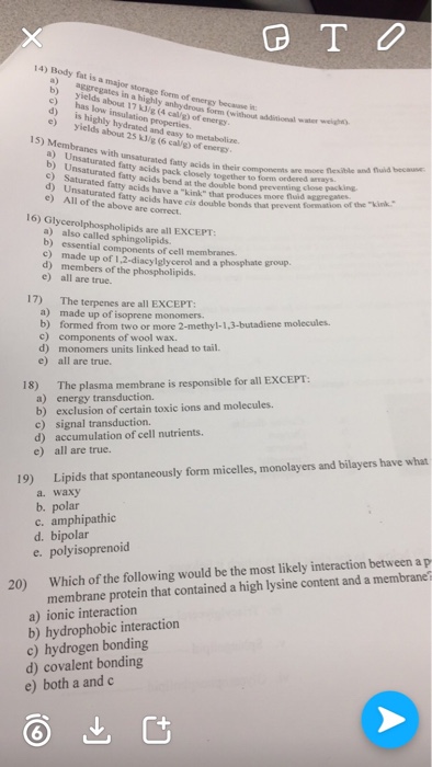 Solved Body fat is a major storage form of energy because | Chegg.com