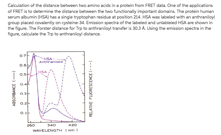 Calculation of the distance between two amino acids | Chegg.com