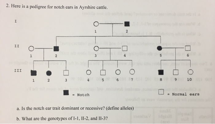Solved a) is the notch ear trait dominant or recessive? | Chegg.com