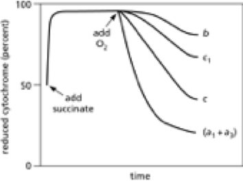 Solved In 1925, David Keilin used a simple spectroscope | Chegg.com