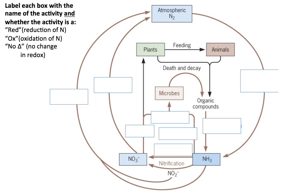 Solved Label each box with the name of the activity and | Chegg.com