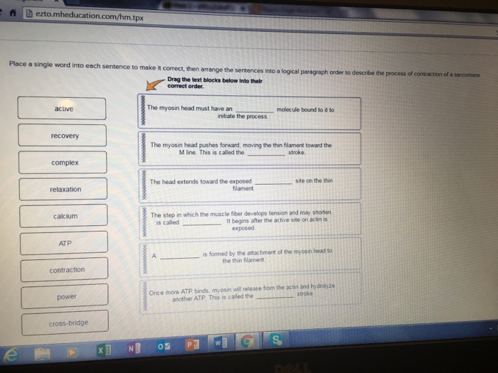 Solved Place a single world into each sentence to make it | Chegg.com