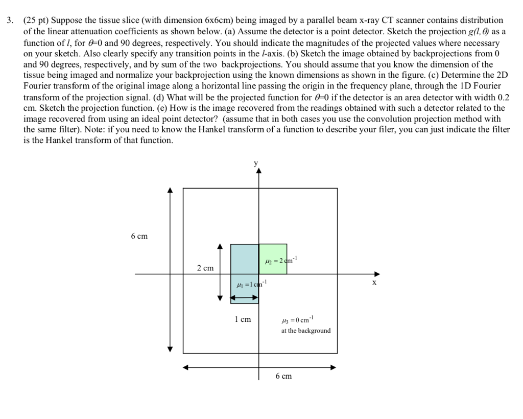 3. (25 pt) Suppose the tissue slice (with dimension | Chegg.com
