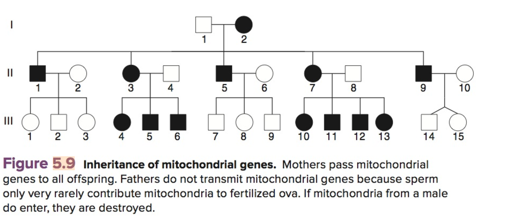 Solved The pedigree in Figure 5.9 in Lewis is for a | Chegg.com