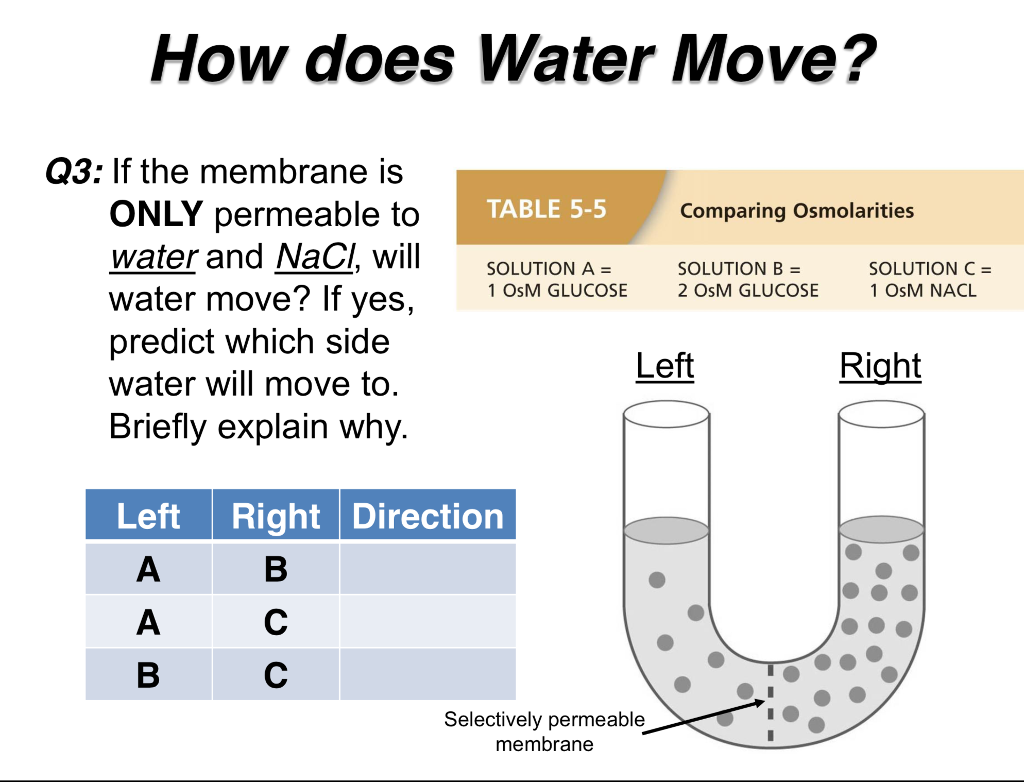 Solved How does Water Move? Q3: If the membrane is TABLE 5-5 | Chegg.com