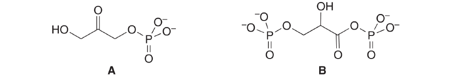 Solved Find all the functional groups in A and B, | Chegg.com