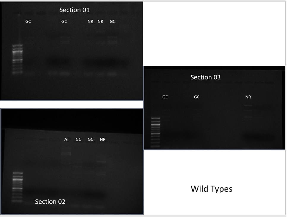 Question | Chegg.com