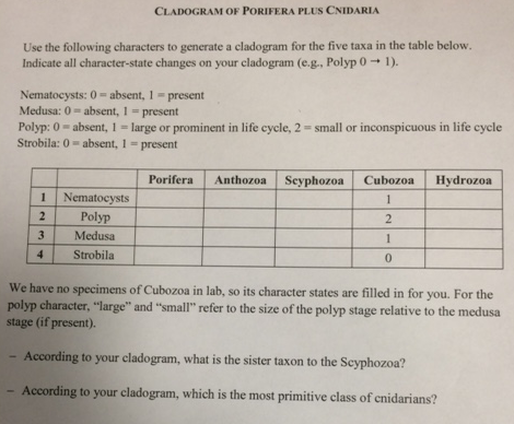 Solved Use the following characters to generate a cladogram | Chegg.com