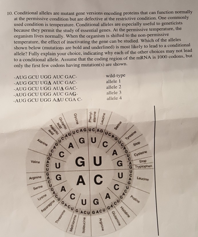 Solved 10. Conditional alleles are mutant gene versions | Chegg.com