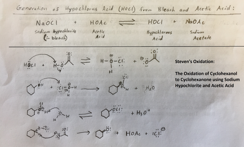 Solved Generation of Hypochlorus Acid (Hoci) from Bleach and | Chegg.com