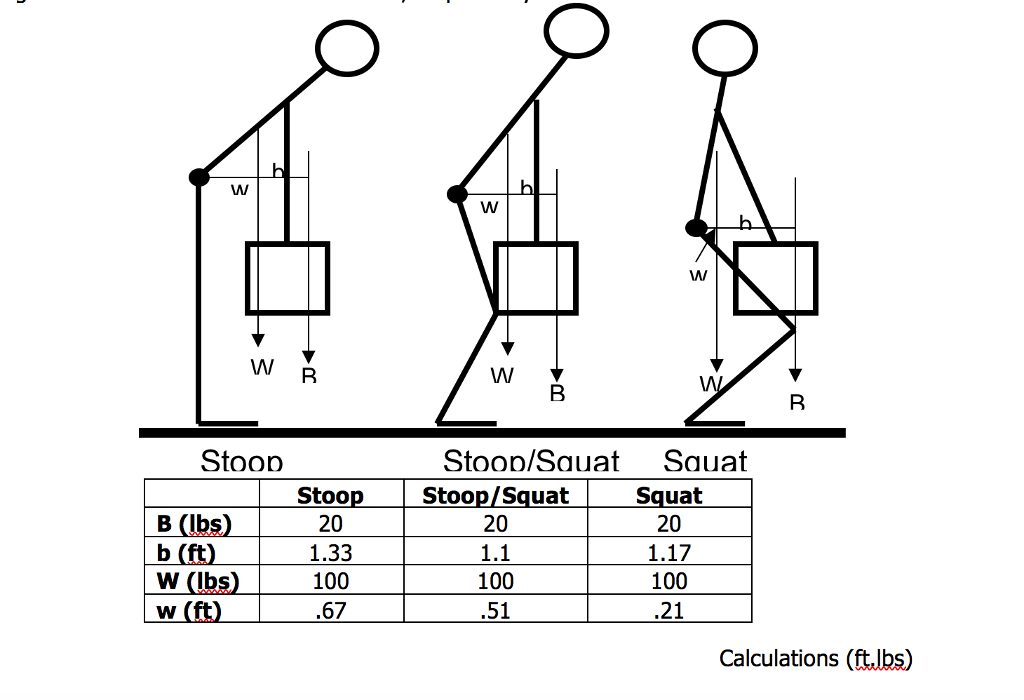 Kinesiology & Biomechanics A person has | Chegg.com