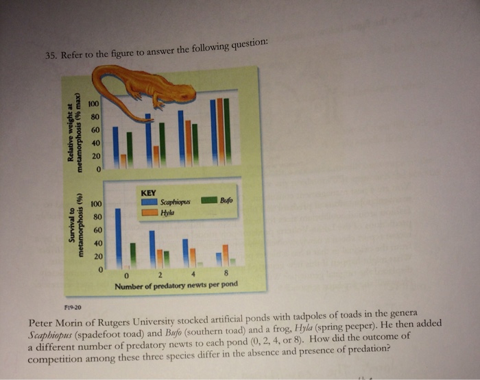 Solved Refer to the figure to answer the following question. | Chegg.com